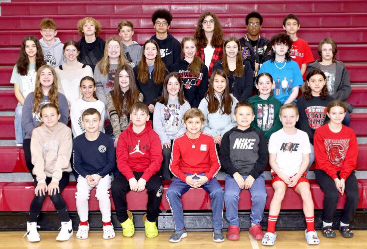 Harding students earn honors | News, Sports, Jobs - The Herald Star